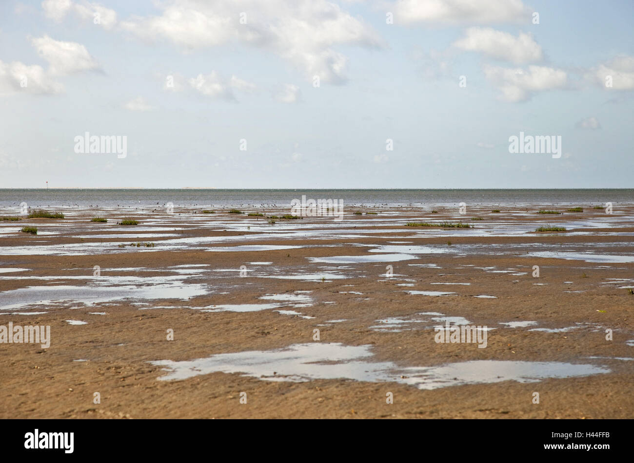 The North Sea, watt Stock Photo - Alamy
