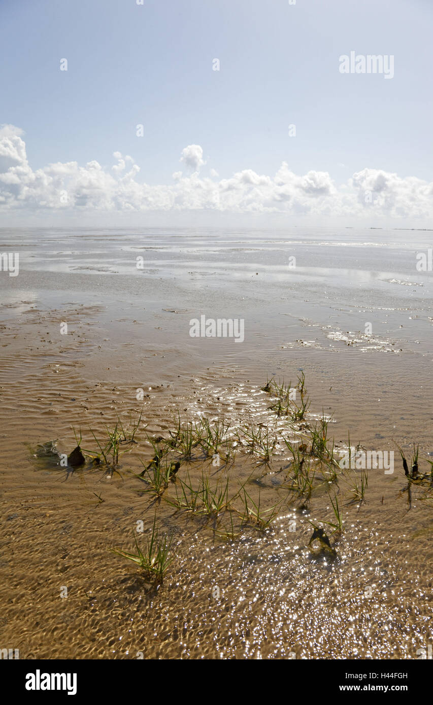 The North Sea, watt, tides Stock Photo - Alamy