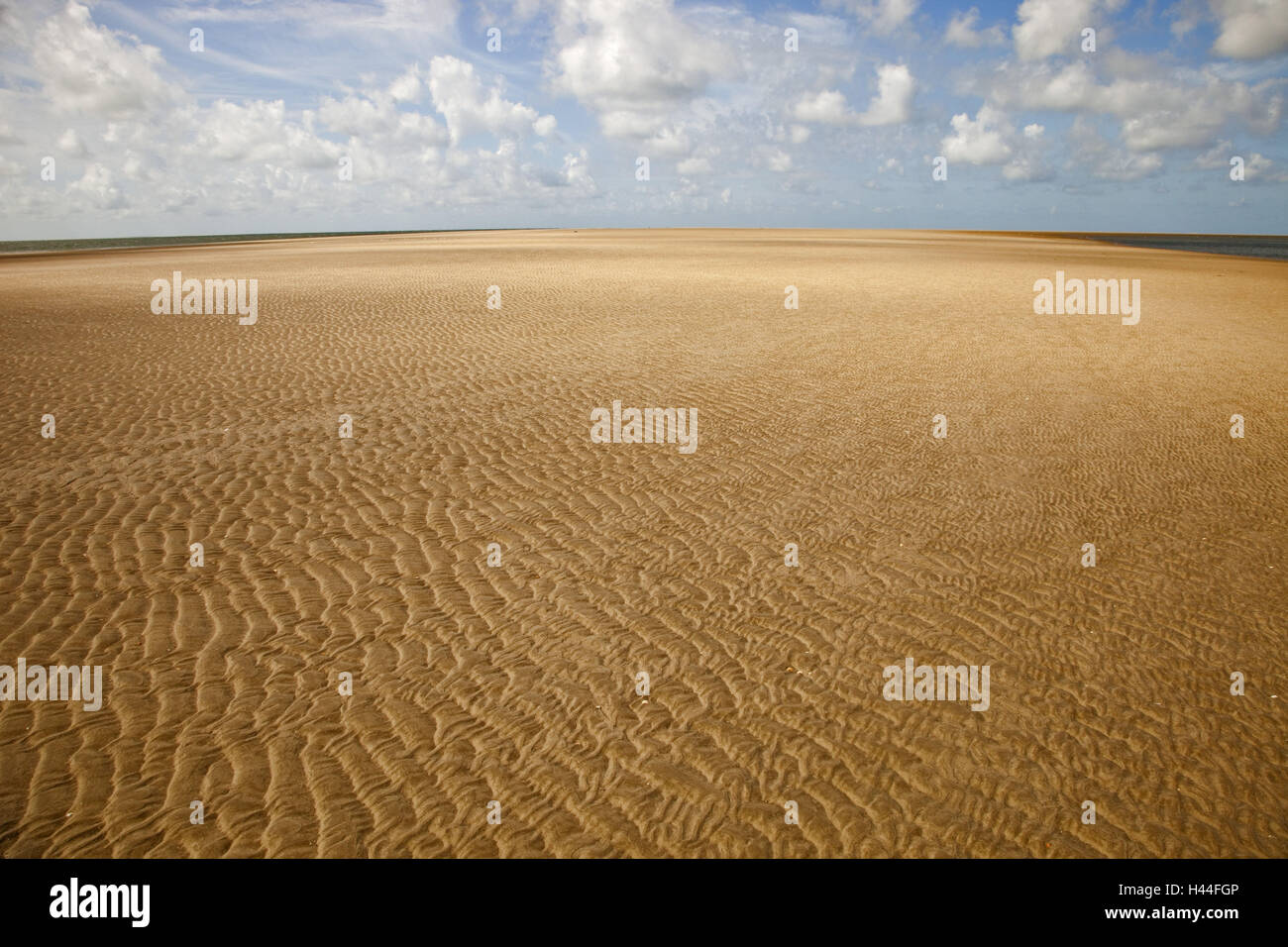 The North Sea, Sand bank, watt, tides Stock Photo - Alamy