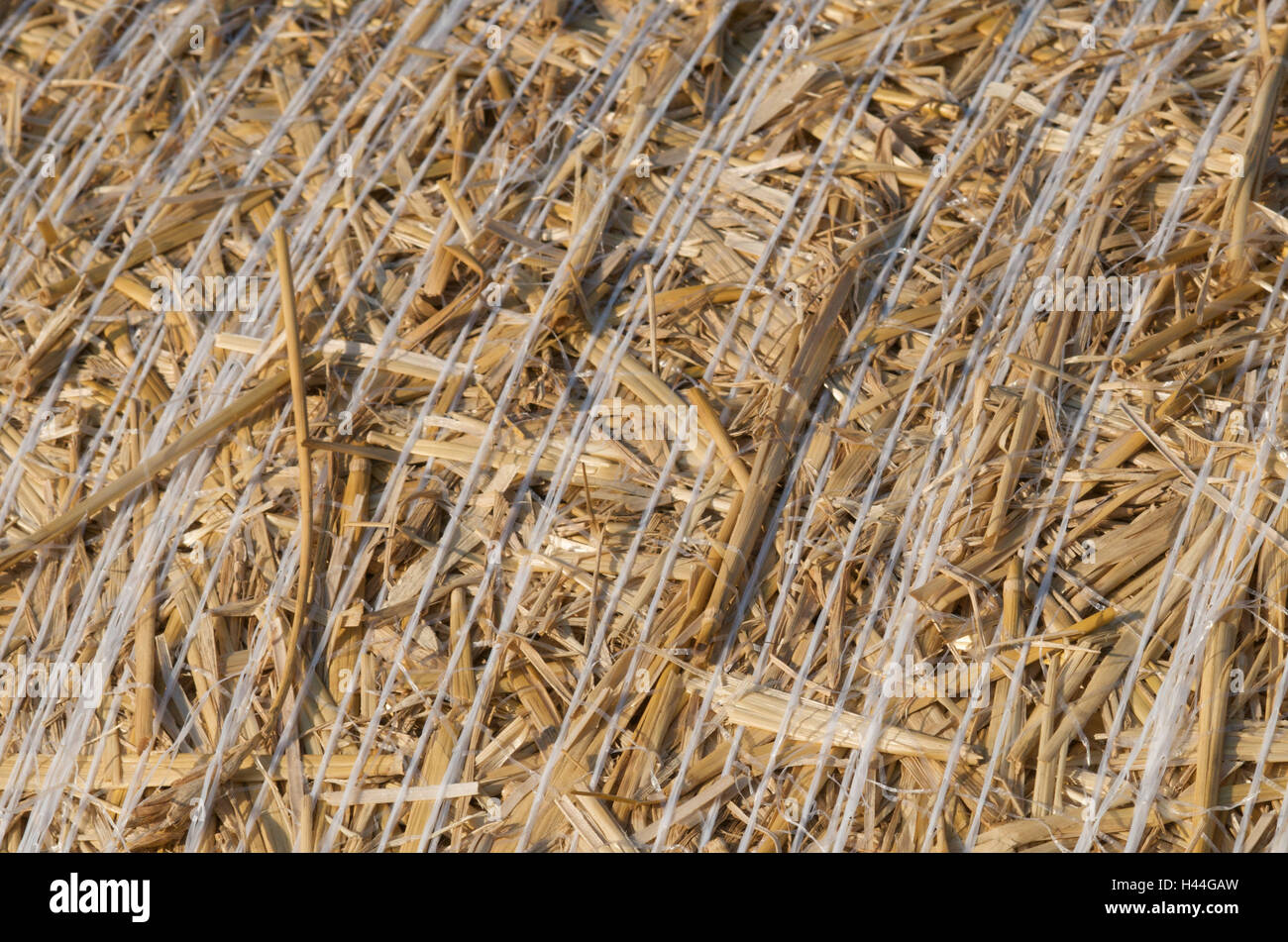 Straw-round bales, close up, harvest, straw harvest, field economy ...