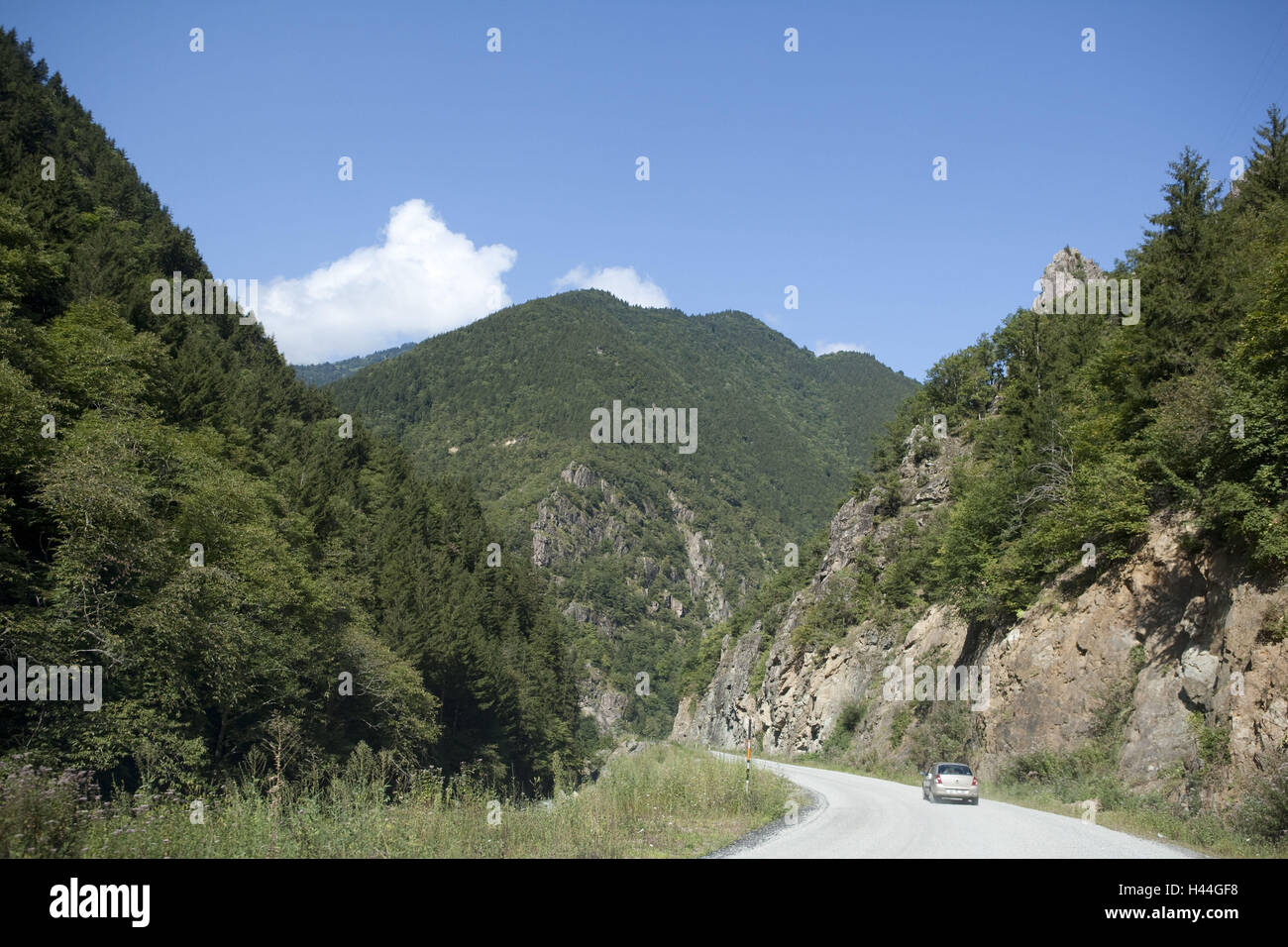 Turkey, Black Sea region, close Rize, country road, car Stock Photo - Alamy