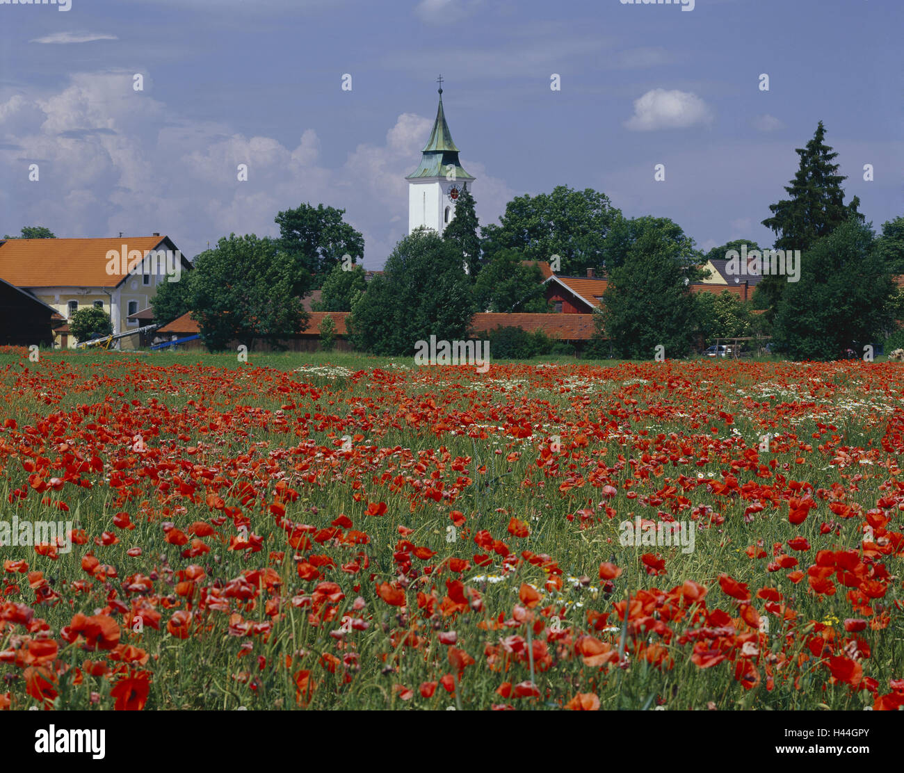 Germany, Bavaria, Freiham, local view, meadow, poppies, place, church ...