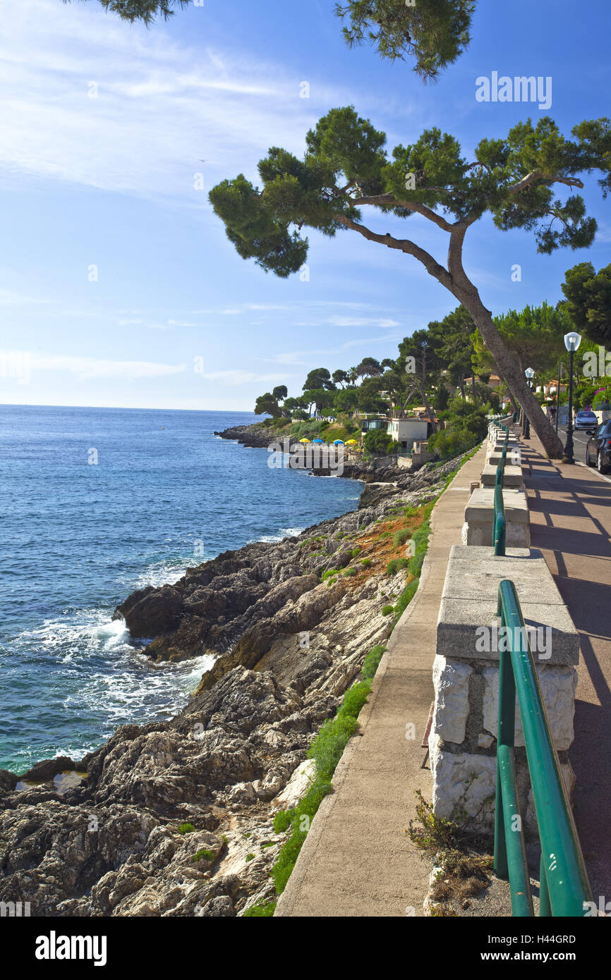 Europe, the South of France, Monaco, Menton, Cap Martin, bile coast ...