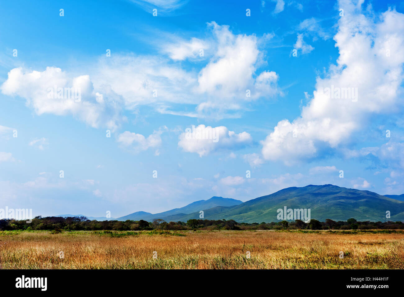 Beautiful effects hi-res stock photography and images - Alamy