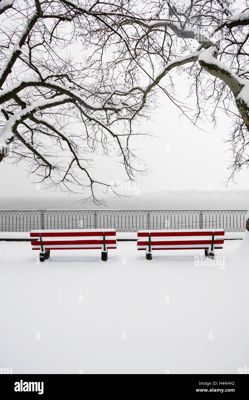 Lakeside, snow-covered park benches Stock Photo - Alamy