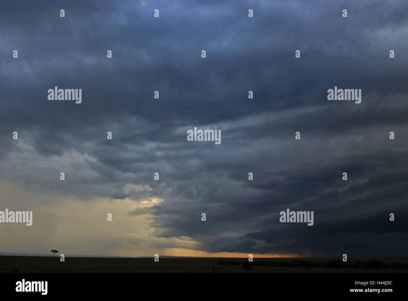 Africa, Kenya, Massai Mara Nationalpark, stormy atmosphere Stock Photo ...