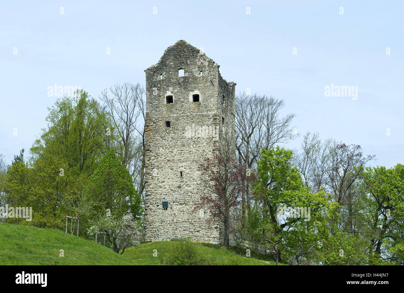 Germany, Baden-Wurttemberg, cheeks, castle ruin castle Neuravens ...
