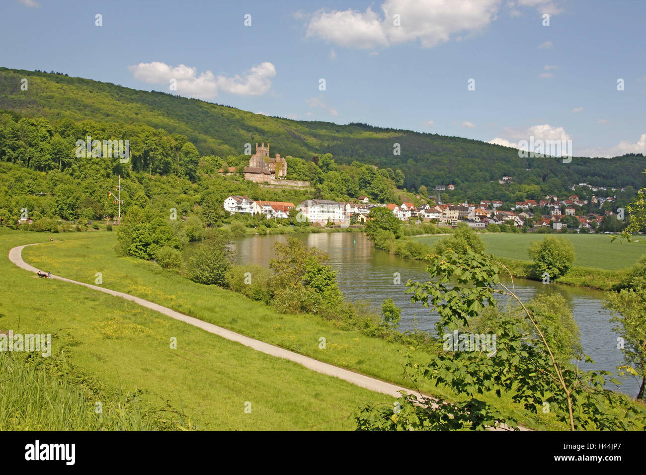 Germany, Hessen, Neckarsteinach, the Neckar, middle castle, 4 castle ...