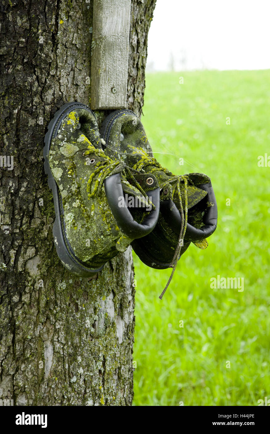 Pilgrims way hi-res stock photography and images - Alamy