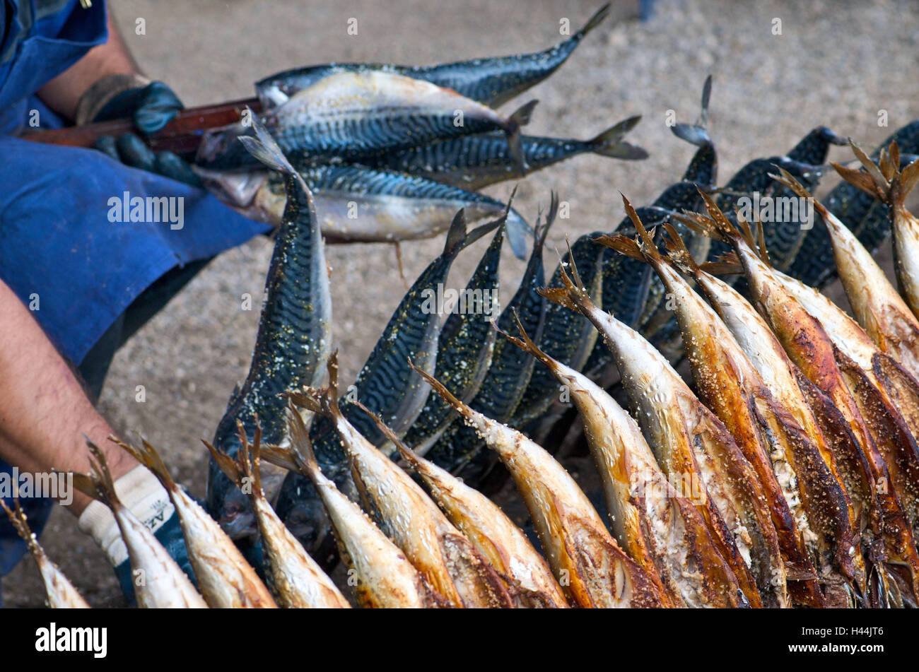Steckerlfisch, man, grill, charcoal, fish, smoked fish, smoked, fish ...