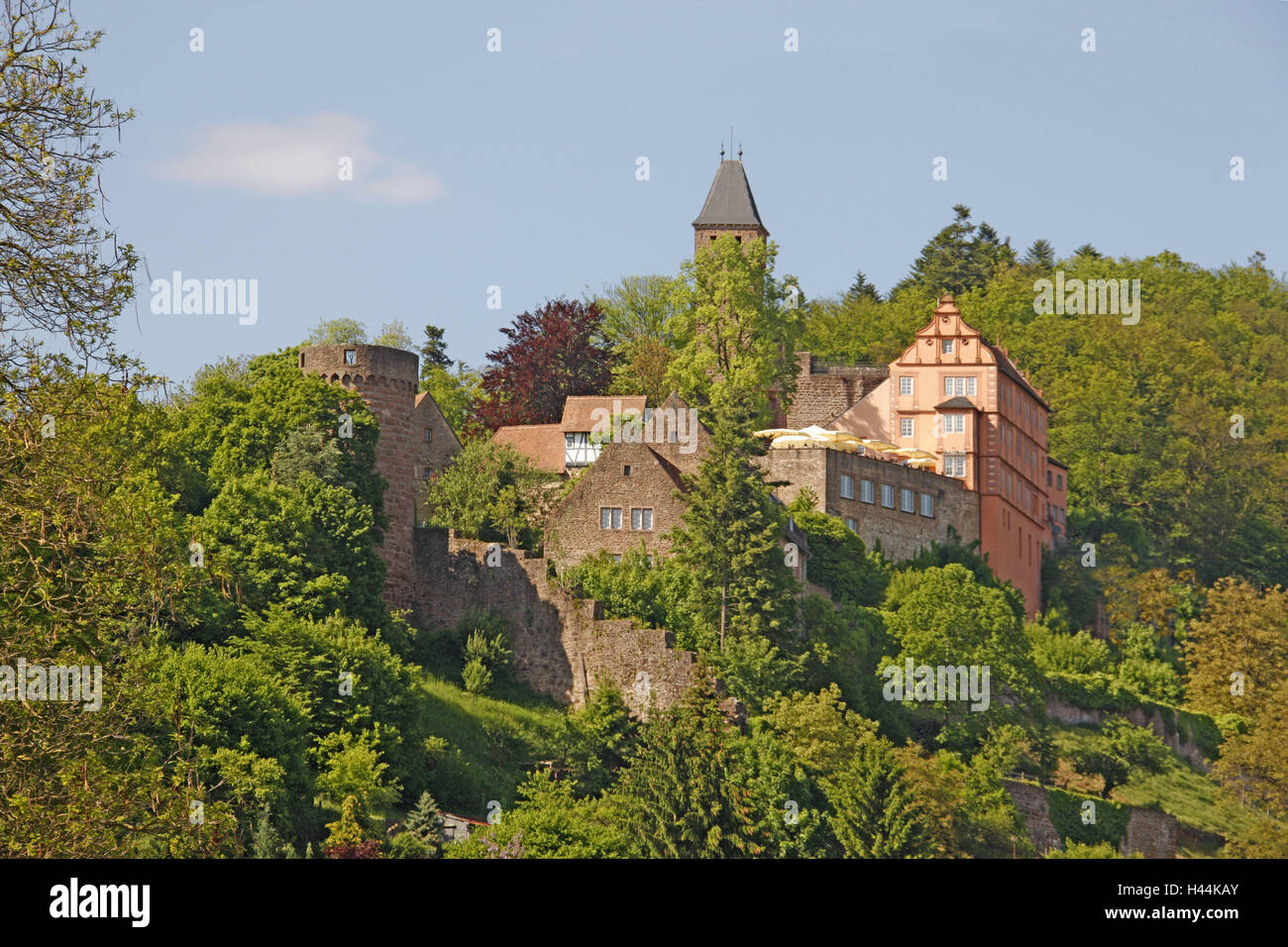 Germany, Hessen, buckhorn on the Neckar, castle, lock, wood, trees ...