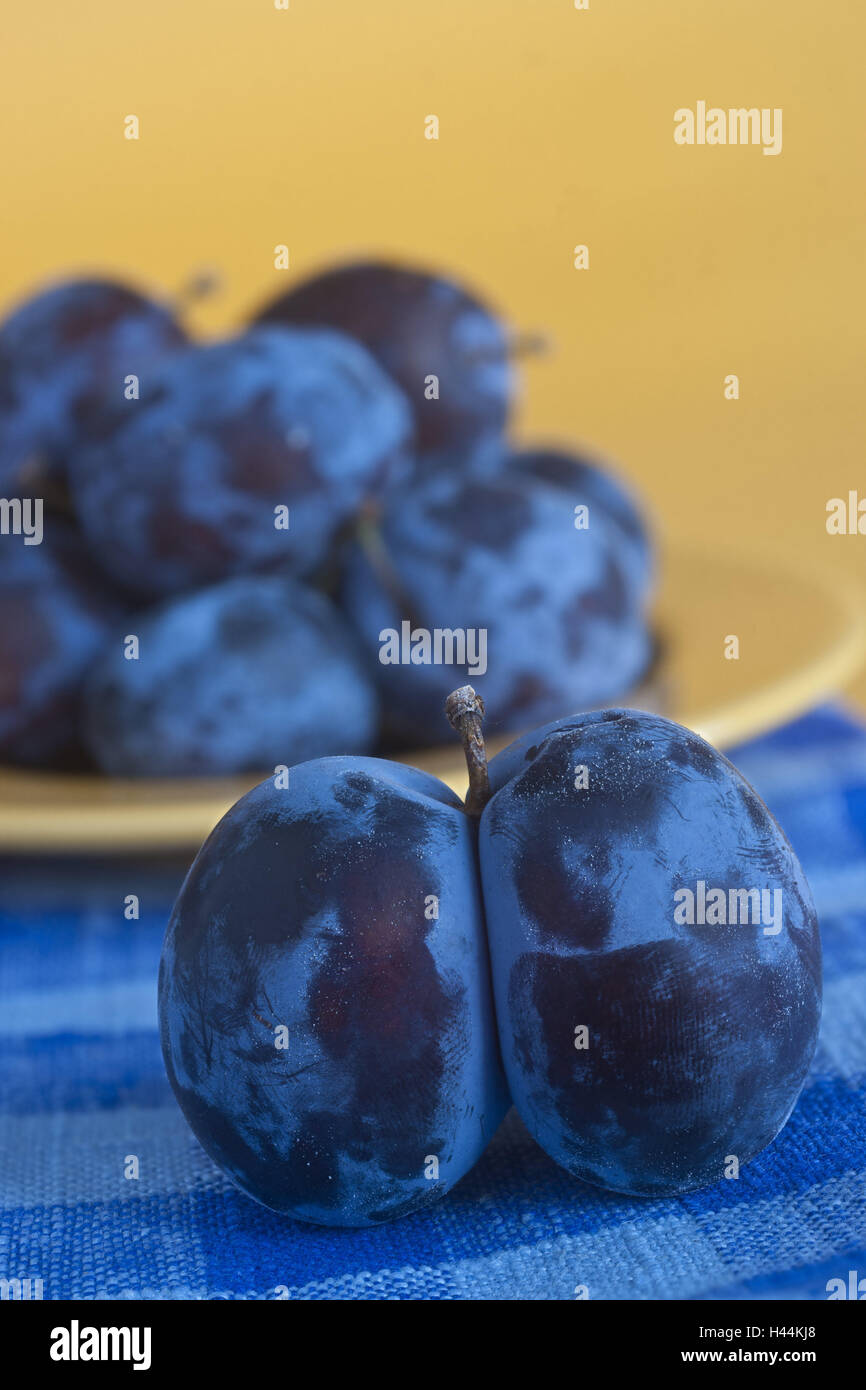 Plums, consolidated, fruit, stone fruit, fruits, plums, freshly, ripe ...