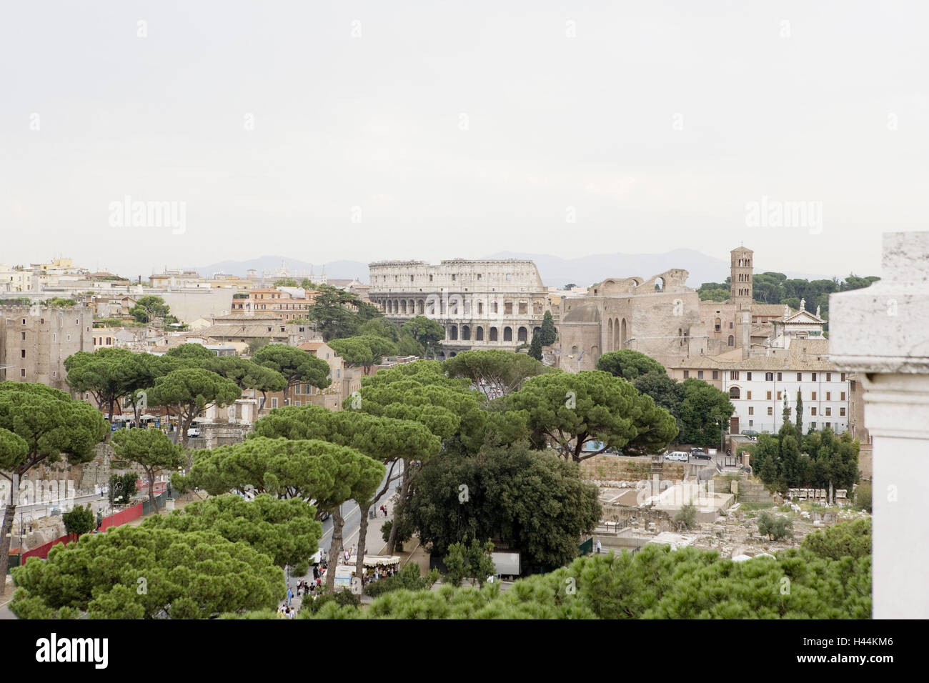 Italy, Rome, city-opinion, coliseum, detail, capital, park, trees ...