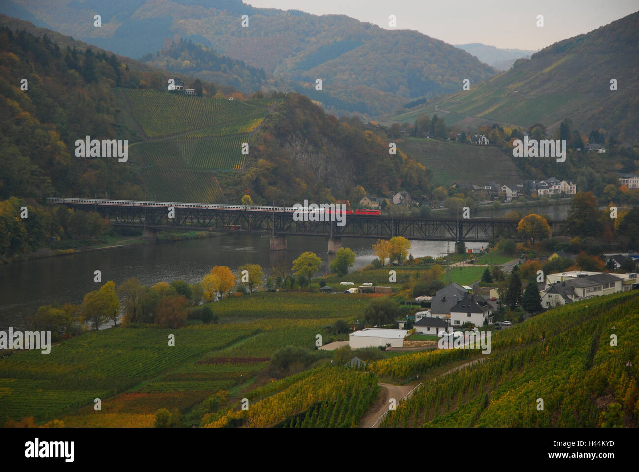 Bullay Stock Photos & Bullay Stock Images - Alamy