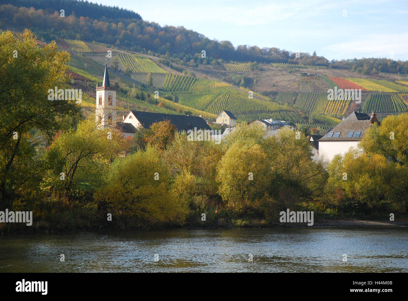 Germany, Rhineland-Palatinate, the Moselle, hermit monk country, Reil ...