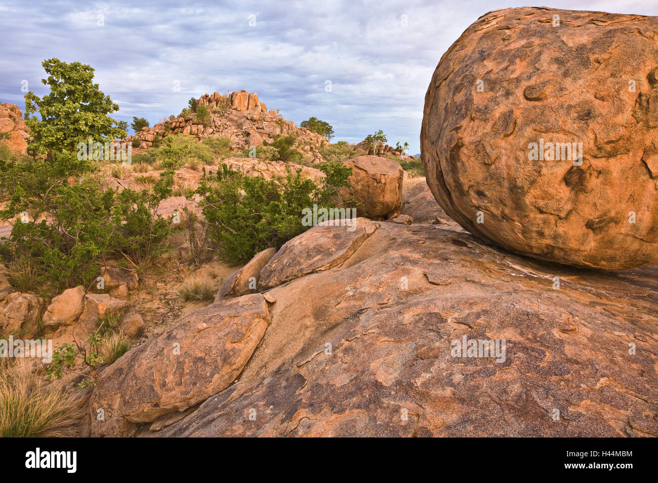 Africa, Namibia, Omaruru, farm country, savanna, rock Stock Photo - Alamy
