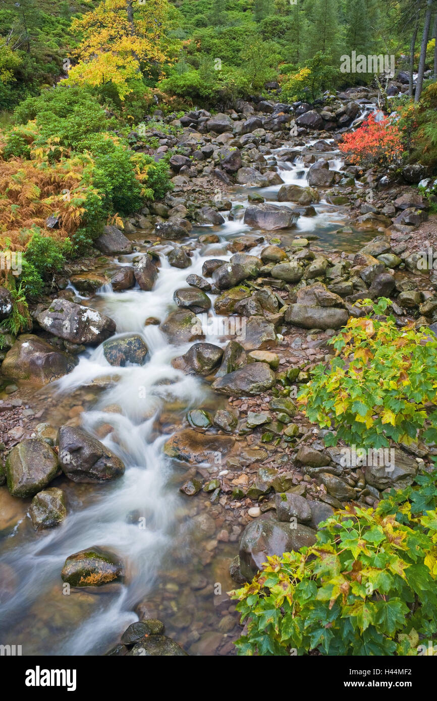Torridon river autumn hi-res stock photography and images - Alamy