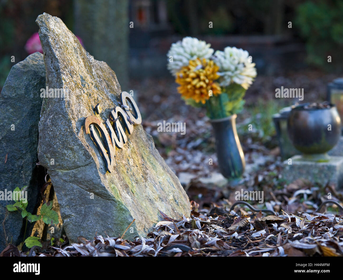 Animal cemetery hi-res stock photography and images - Alamy