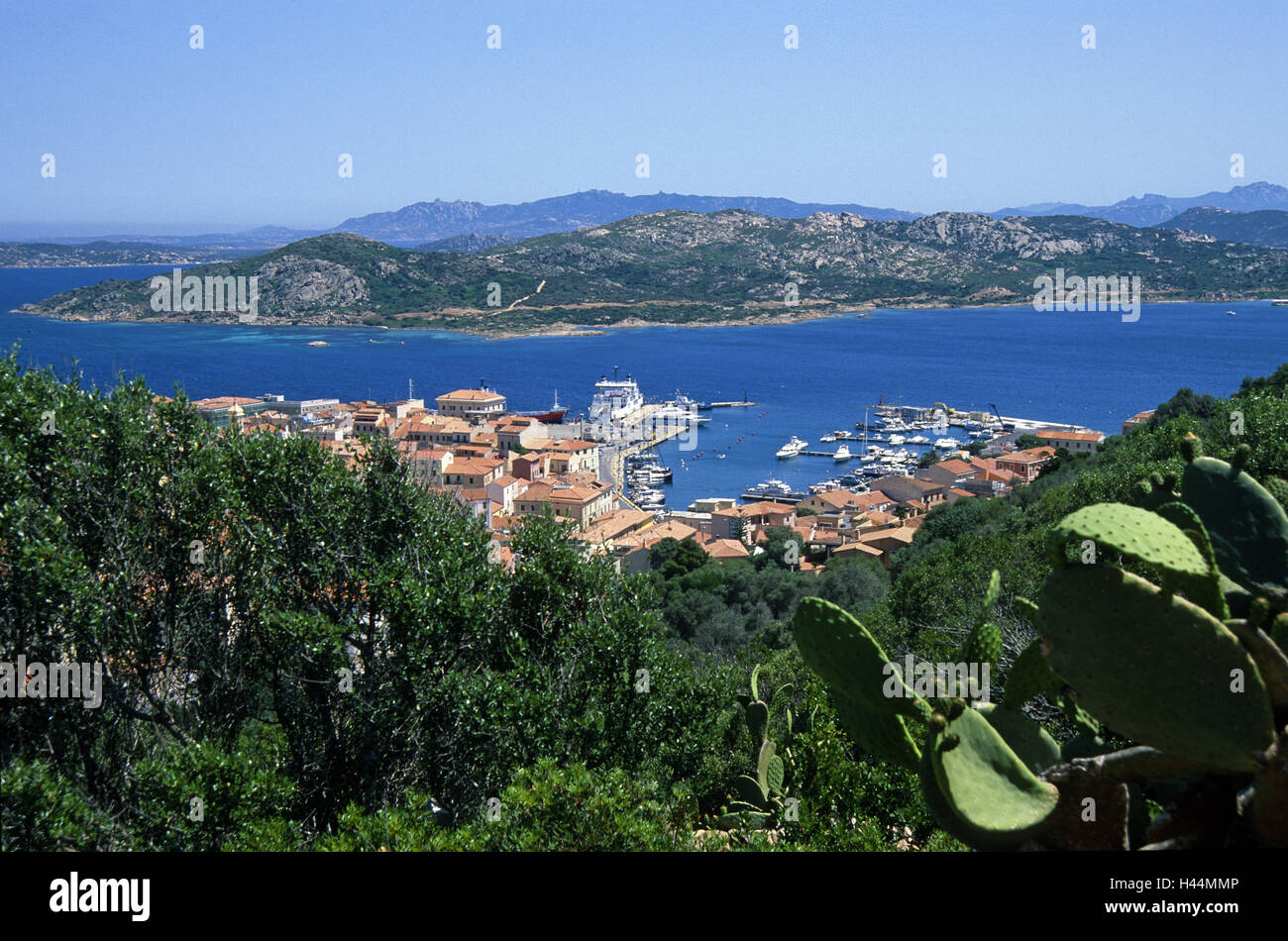 Italy, island Sardinia, La Maddalena, view to the harbour Stock Photo ...