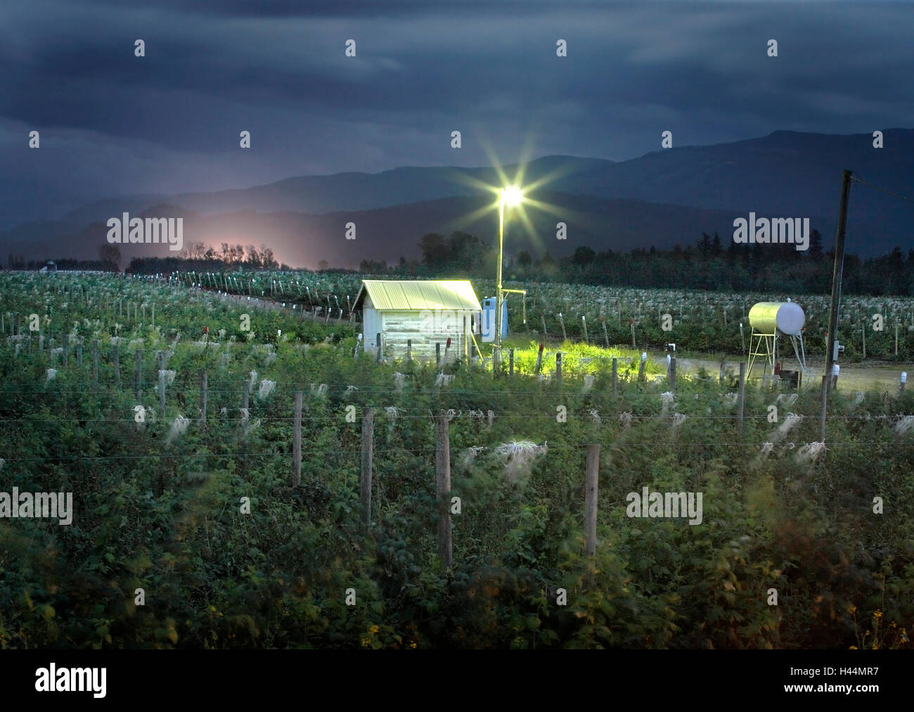 Nooksack valley hi-res stock photography and images - Alamy