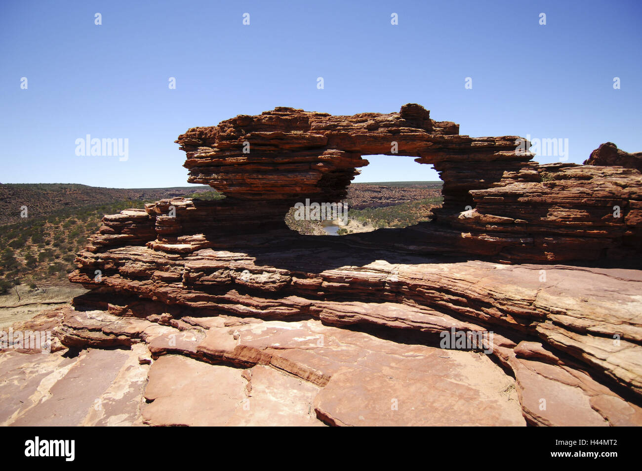 Australia, bile formation Stock Photo - Alamy