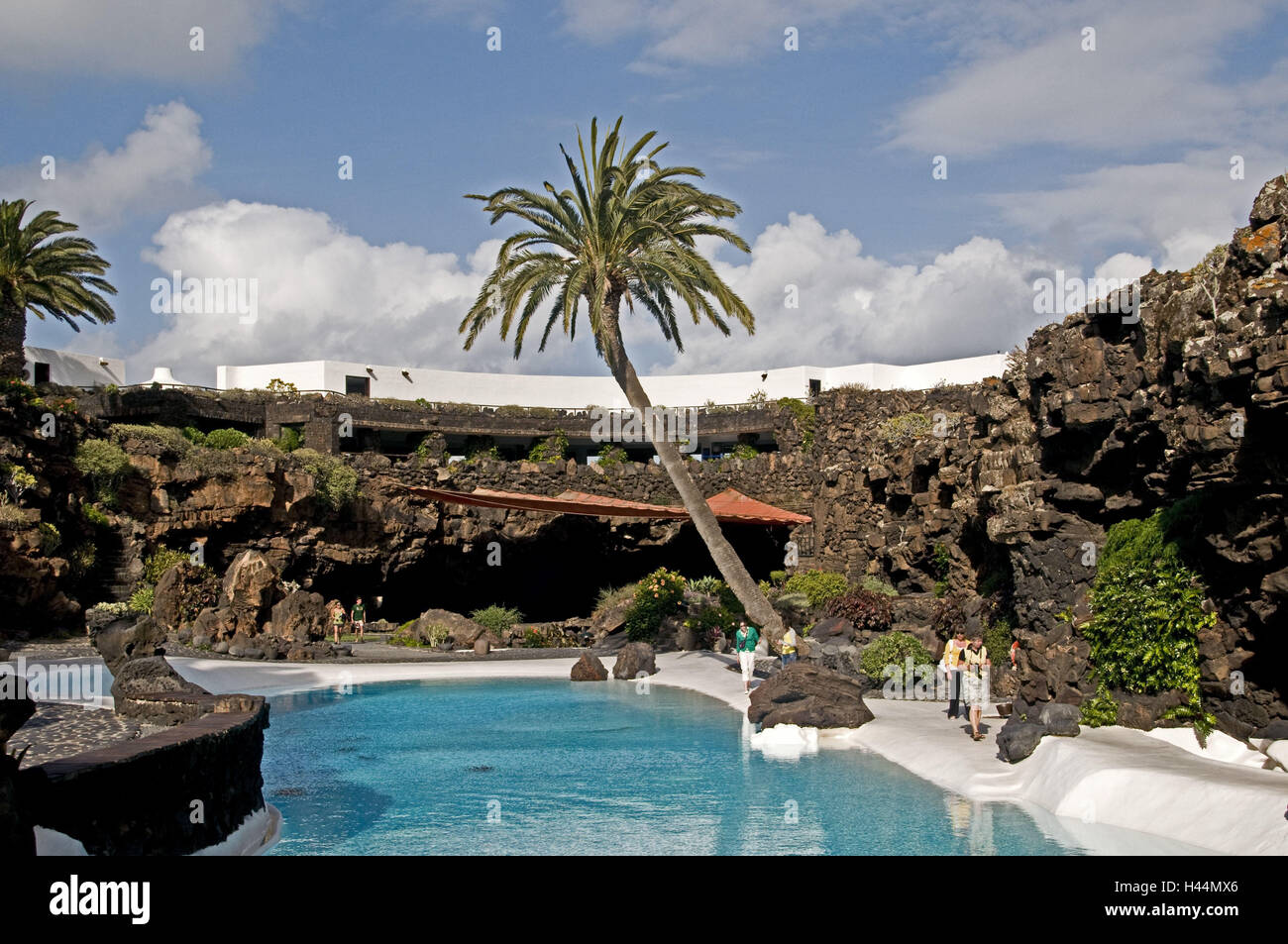 Lava Rock Swimming Pool