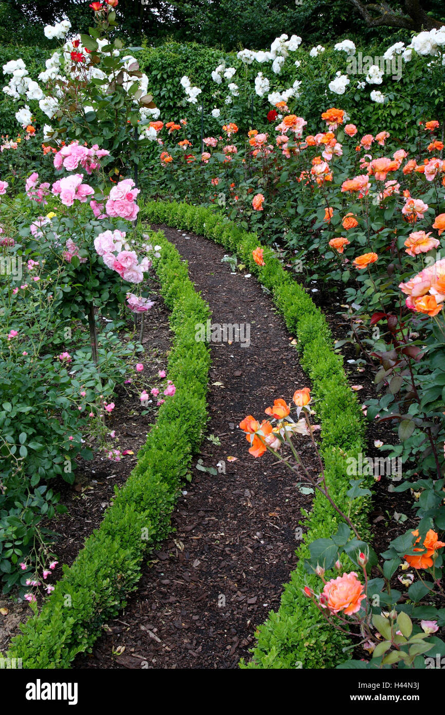 Way flower hi-res stock photography and images - Alamy