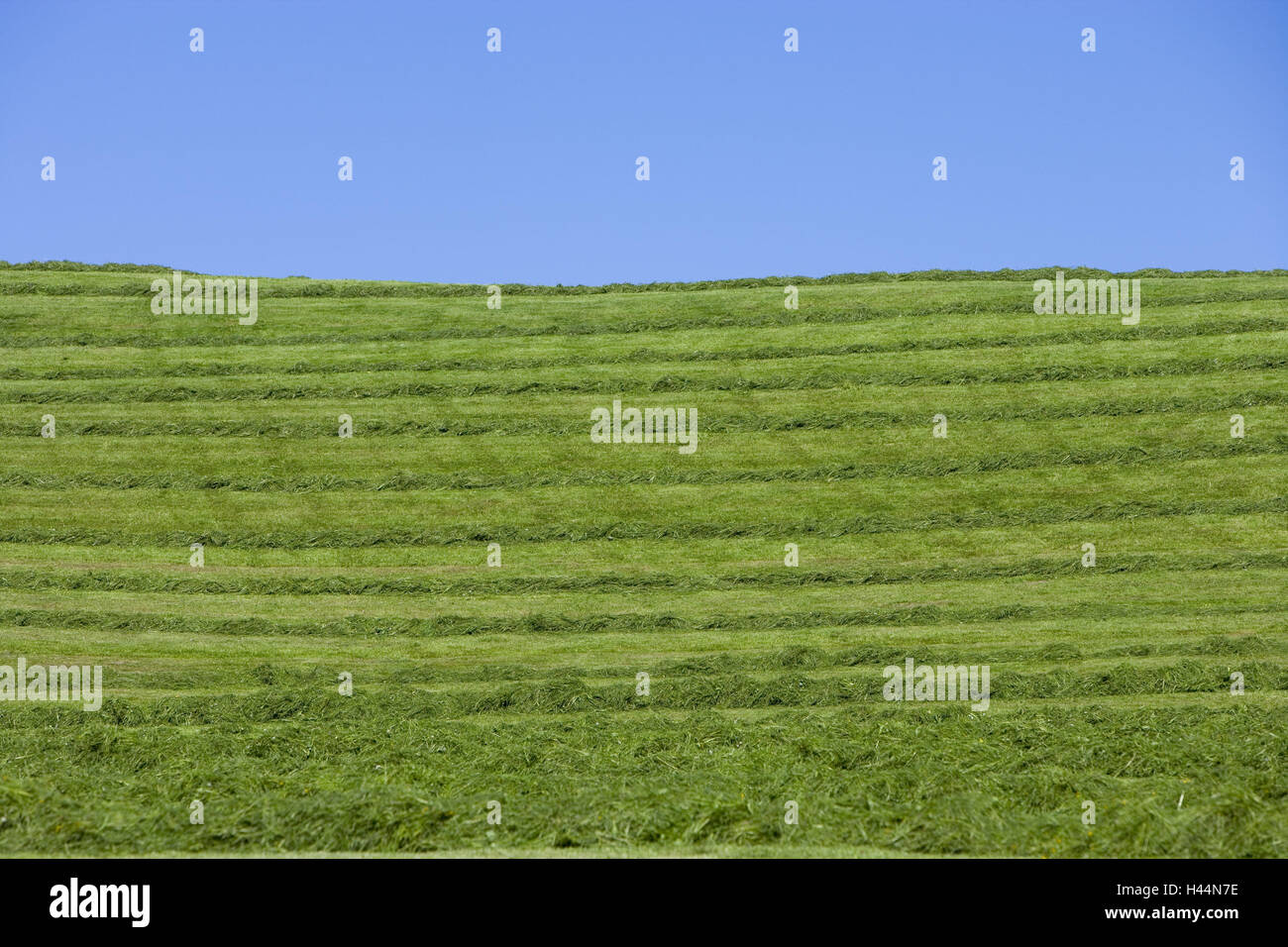 Mowed fields hi-res stock photography and images - Alamy