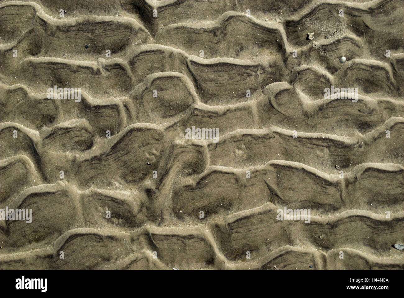 Low tide, mud flats, seabed, close up Stock Photo - Alamy