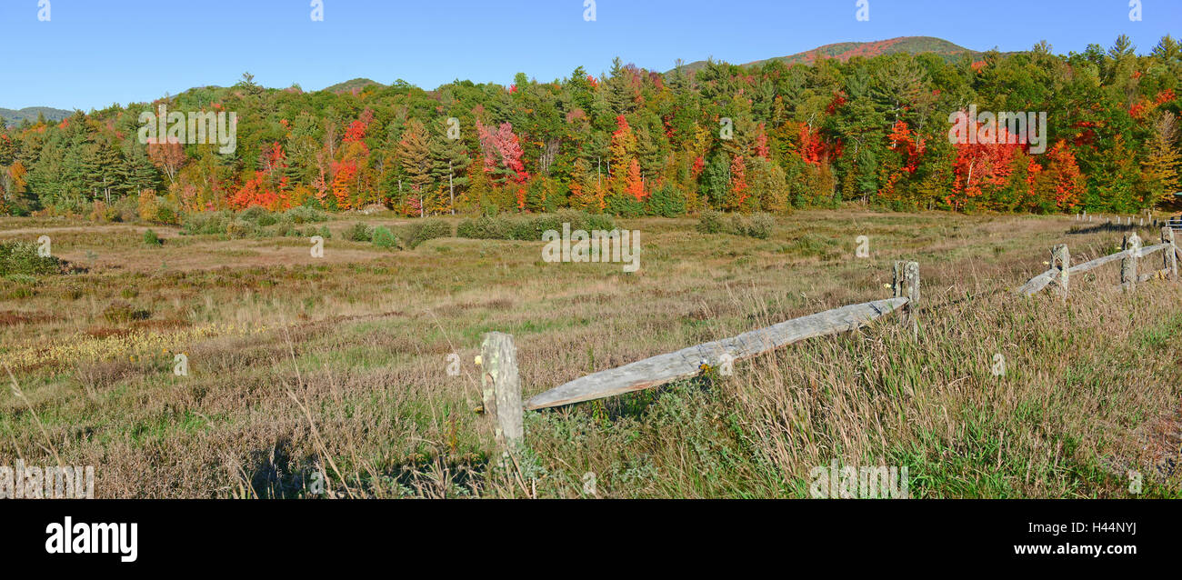 Fall colors, Autumn foliage with red, orange and yellow fall colors in ...
