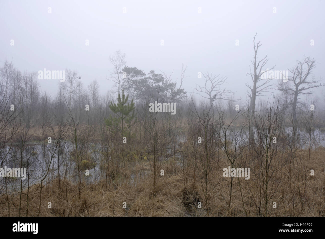 Stotel moor hi-res stock photography and images - Alamy