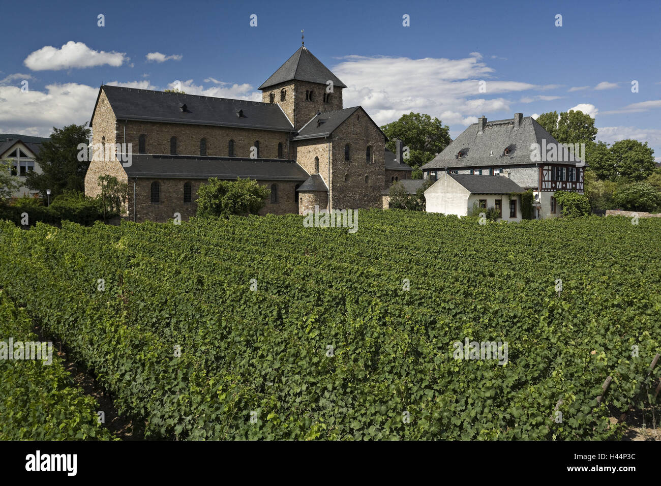 Oestrich angle hi-res stock photography and images - Alamy