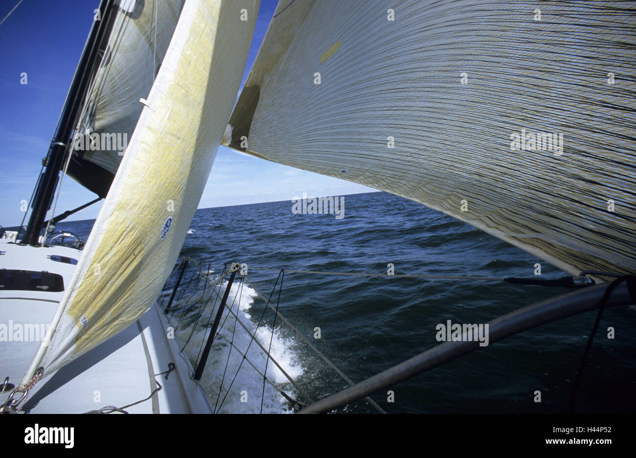 Sail yacht, sail, wind, sailing ship, yacht, sailboats, boat, sailings ...