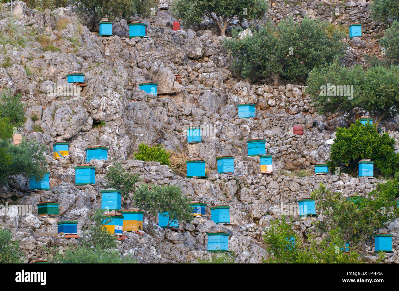Greece, island Kefalonia, cliff face, beehives, Mediterranean island ...