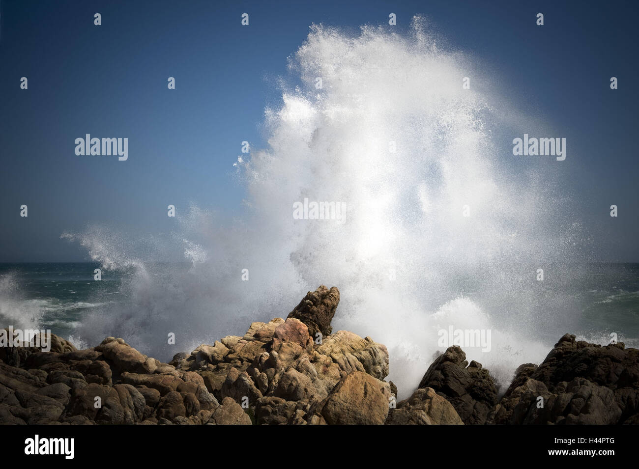 South, Africa, west cape, cape half island, Pringle Bay, coast, surf ...