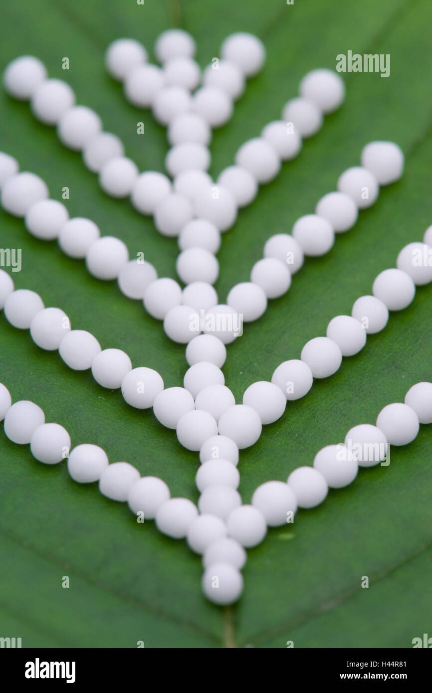 Globuli hi-res stock photography and images - Alamy