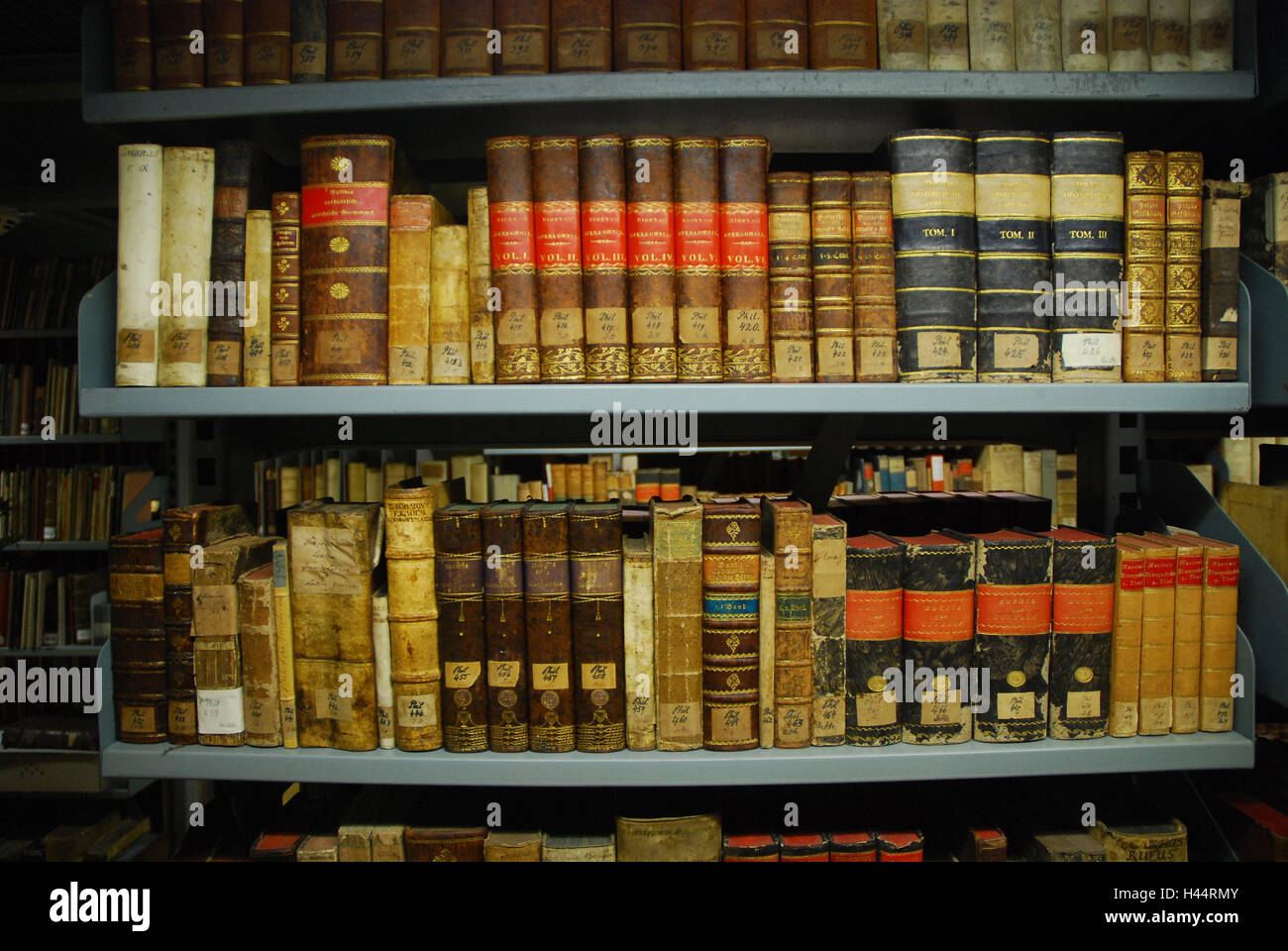 University Of Wittenberg High Resolution Stock Photography and Images ...