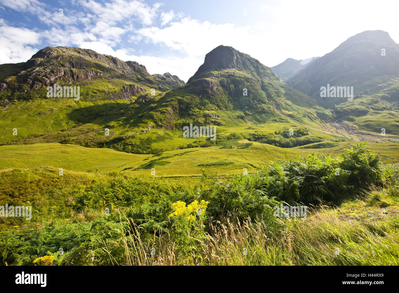 Great Britain, Scotland, highlands, Glen Coe, mountain landscape Stock ...