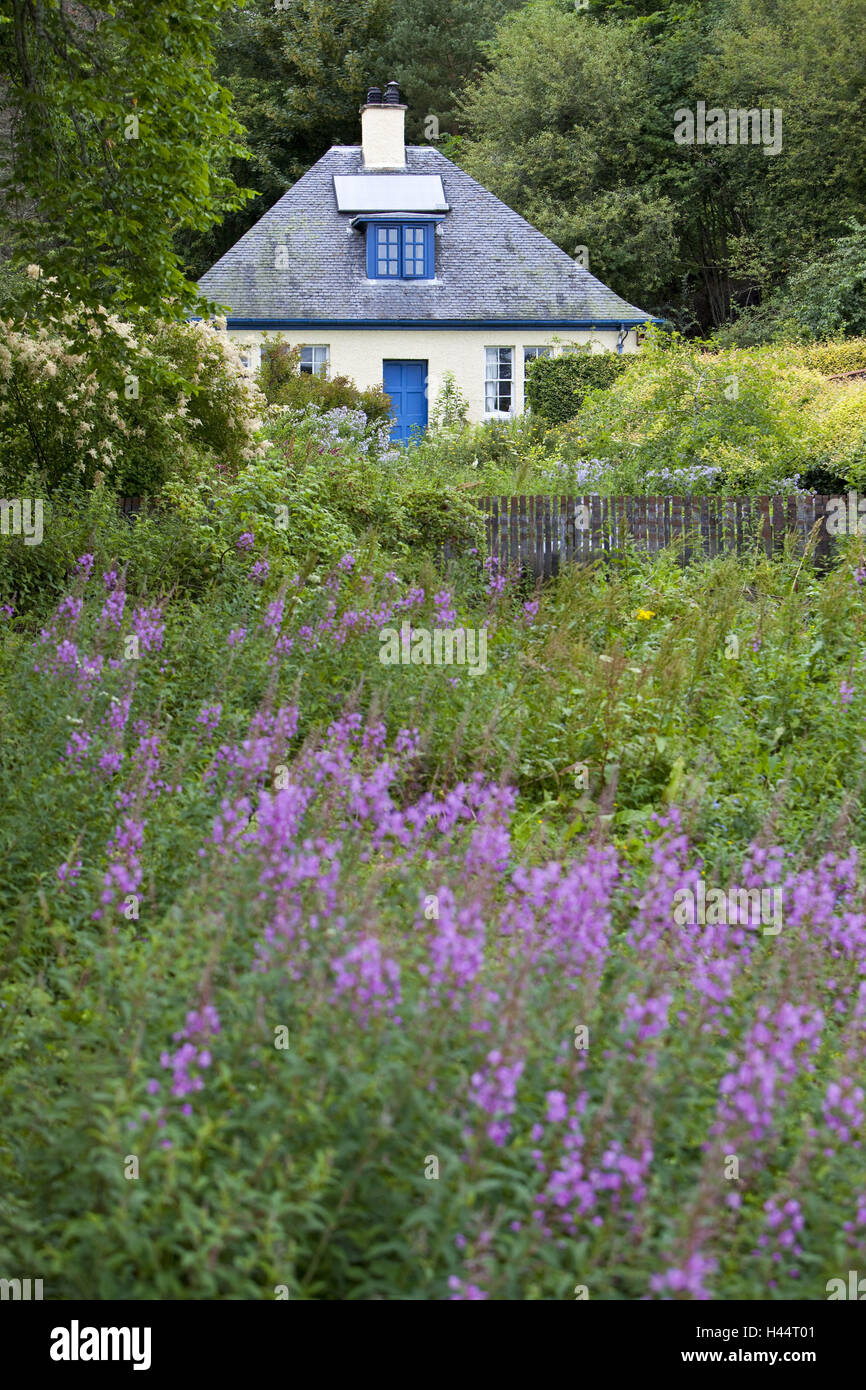 Great Britain, Scotland, highlands, little forest pasture roses, narrow ...