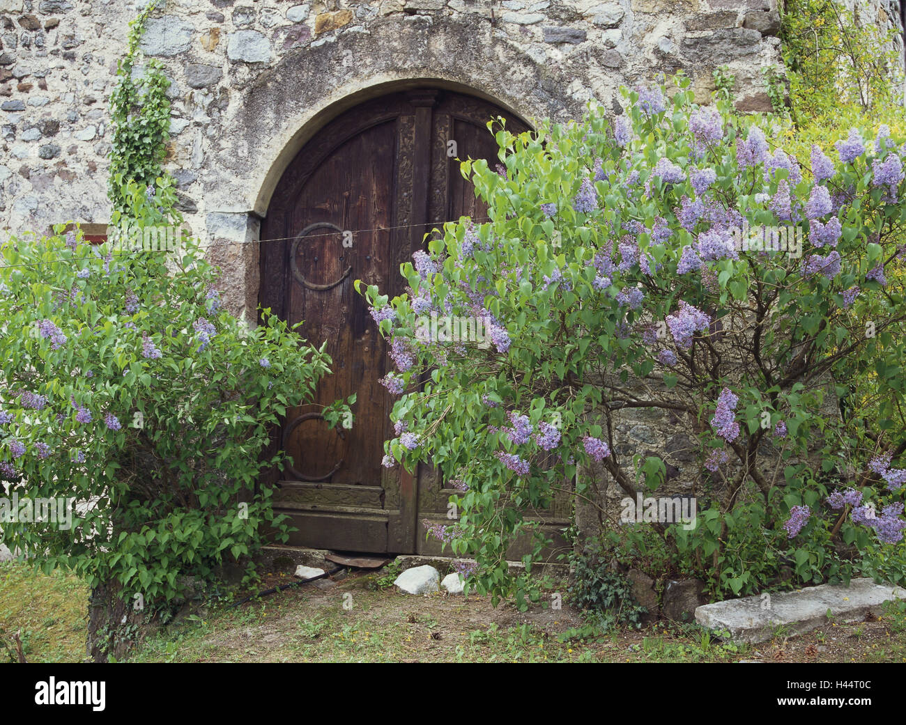 Italy, South Tyrol, Adige valley, Merano, castle, defensive wall, goal ...