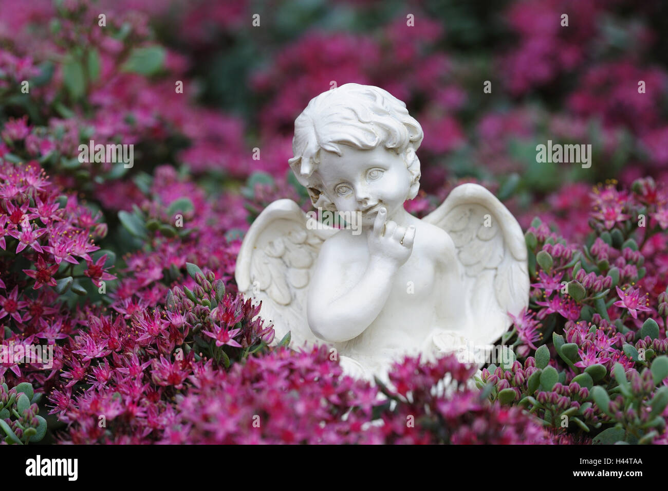 Porcelain angel in flower shrub Stock Photo - Alamy