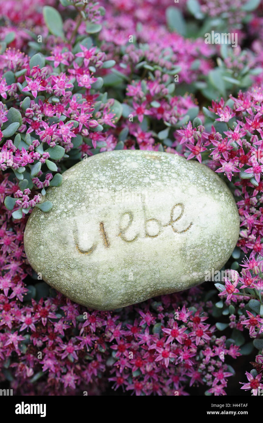 Stone, label 'love' Stock Photo - Alamy