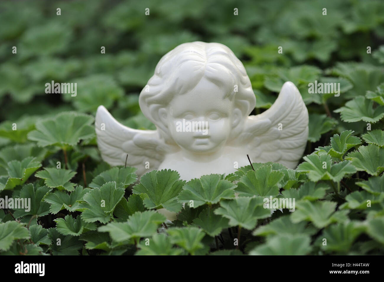 Porcelain angel, garden Stock Photo - Alamy