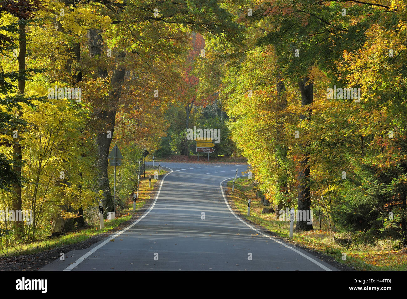 Junction, country road, exit, road signs, Buchenwald, autumn, Germany ...