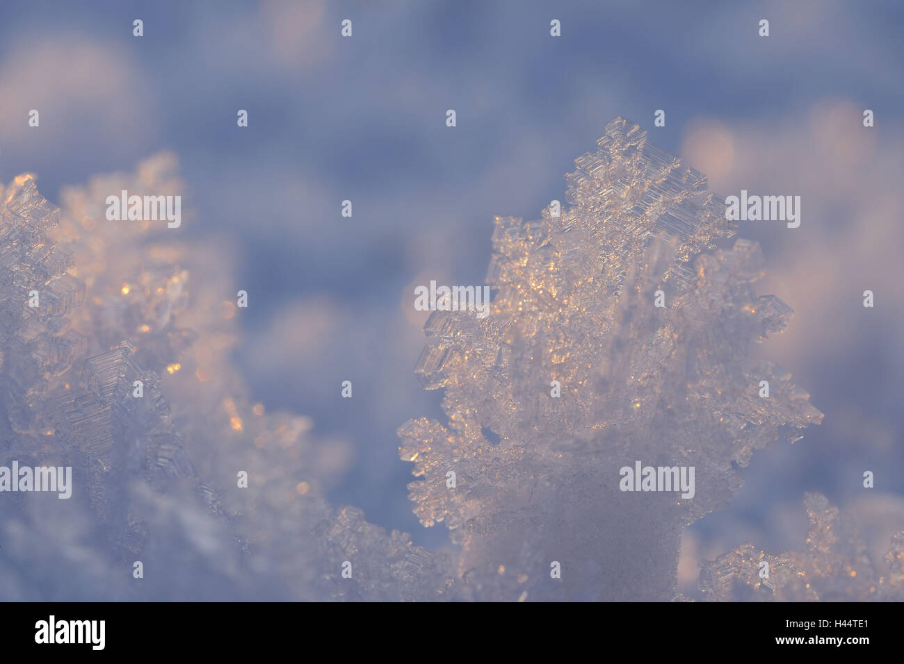 Ice-crystals, close up Stock Photo - Alamy