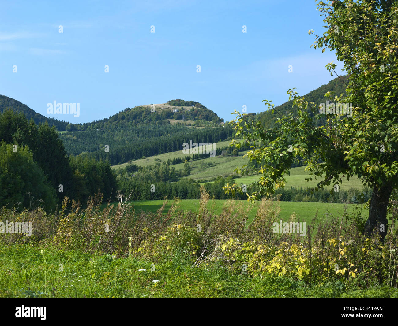 Germany, Baden-Wurttemberg, living, in the Tann, scenery, view ...