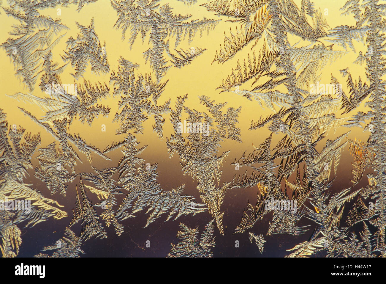 Windows, detail, frost flowers, surface, glass, windowpane, window pane ...