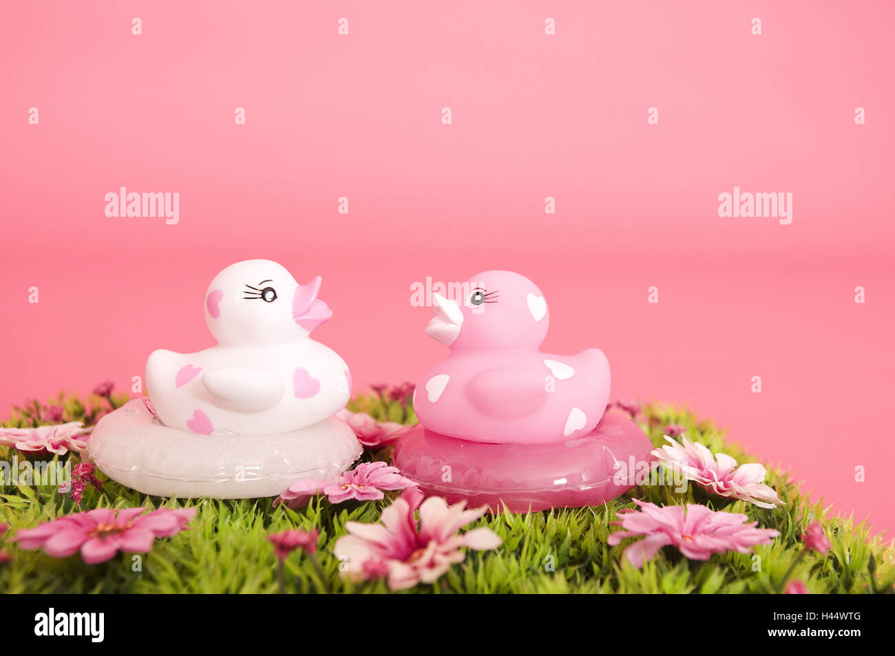 Plastic ducks hi-res stock photography and images - Alamy