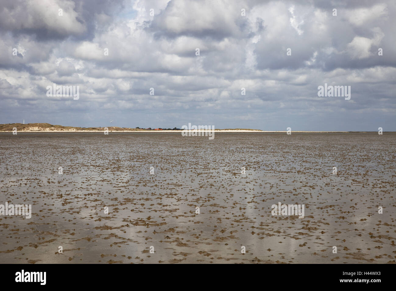 The North Sea, watt Stock Photo - Alamy