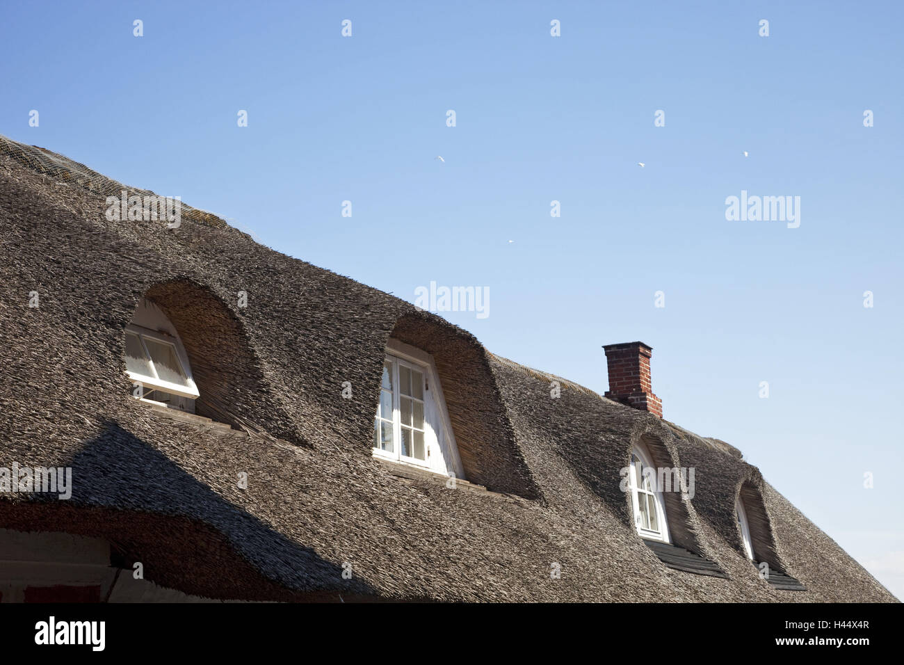 Thatched roof, detail Stock Photo - Alamy